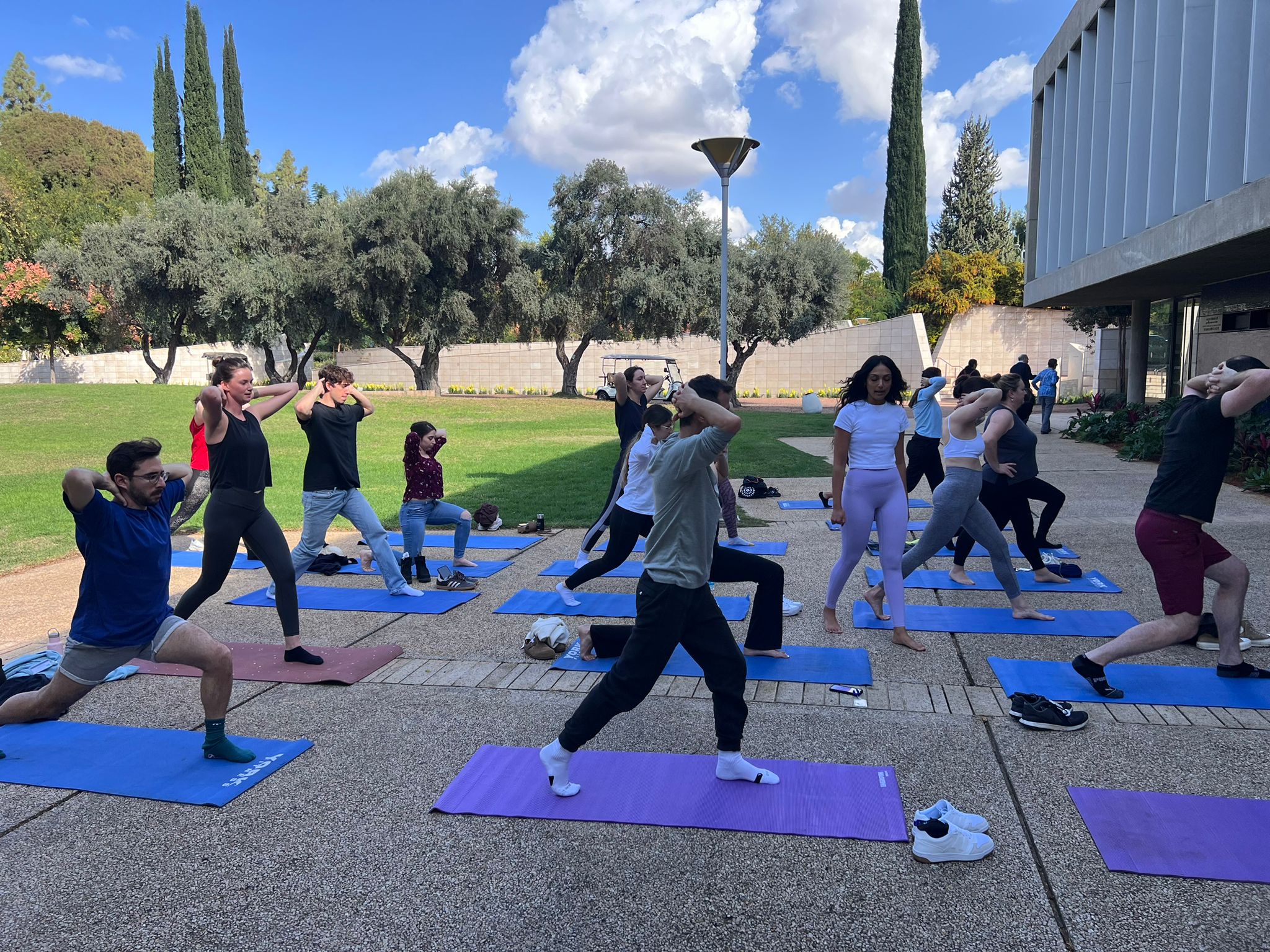 Gallery | Tzahor Lab